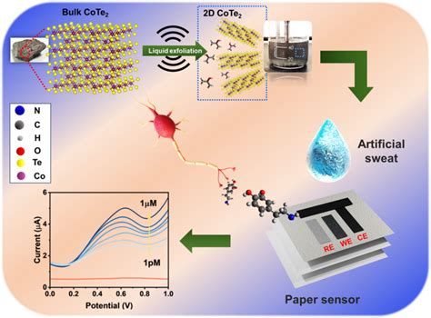 Pdf Subpicomolar Dopamine Detection Using Two Dimensional Cobalt Telluride