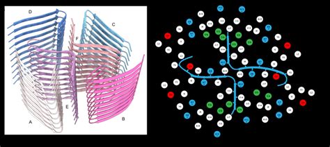 Fibril Structure Of Aurein 33 A 10 Layer Section Of The Cross Beta