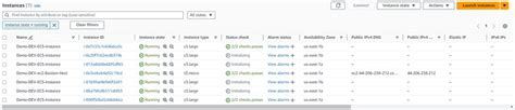 a comprehensive guide for amazon ecs cluster with ec2 launch type using