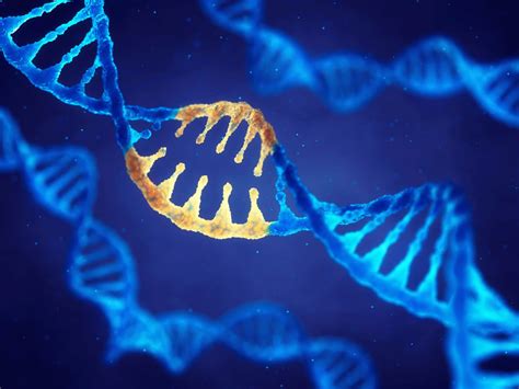 Preadaptation Definition And Examples Biology Online Dictionary
