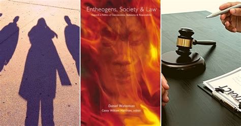 Entheogens Society And Law Towards A Politics Of Consciousness