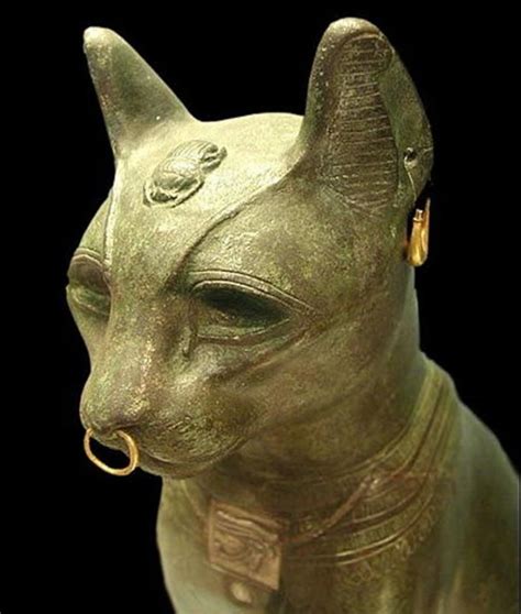 The Veneration And Worship Of Felines In Ancient Egypt Cats In