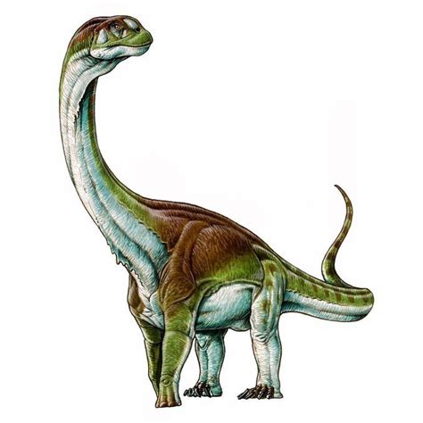Species New To Science [paleontology • 2017] Patagotitan Mayorum • A