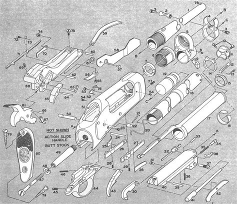 The Ultimate Winchester Model 12 Parts Schematic Guide Everything You