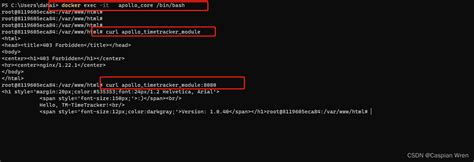 Docker自定义网络下 ：不同容器的nginx通过容器名称相互访问php项目 Nginx 访问docker名称 Csdn博客