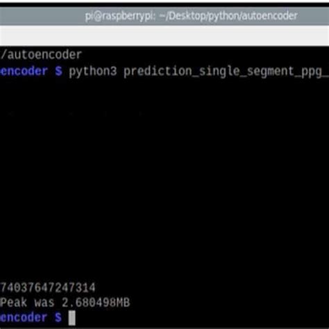 Screenshot Of Segment Wise Prediction Results In The Python Environment