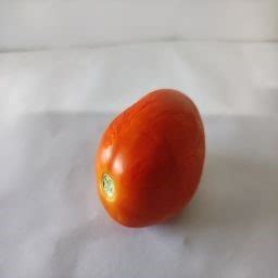 Tomato Detect Object Detection Dataset And Pre Trained Model By Object Detection