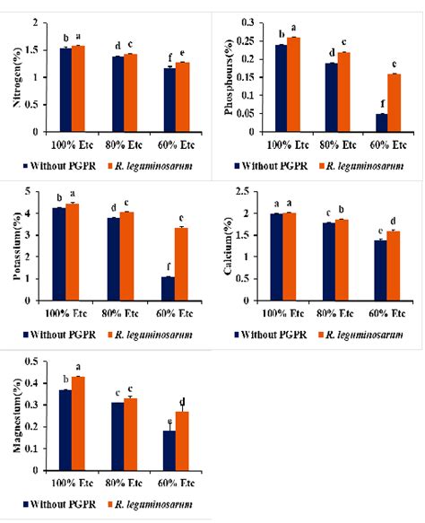 Effect Of Rhizobium Leguminosarum Bv Phaseoli Application On Leaf