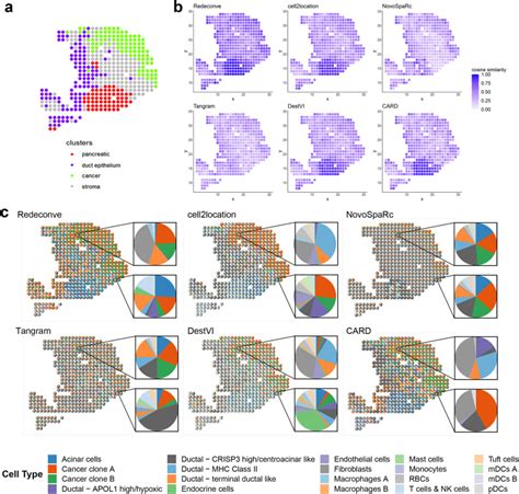 Spatial Transcriptomics Deconvolution At Single Cell Resolution Using Redeconve Pmc