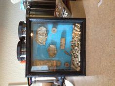 Fossils Found In Mineral Wells Fossil Park Texas Mounted And Placed In A Shadow Box For Memory