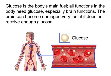 hypoglycemia