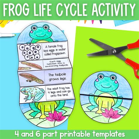 Frog Life Cycle Printable Cards