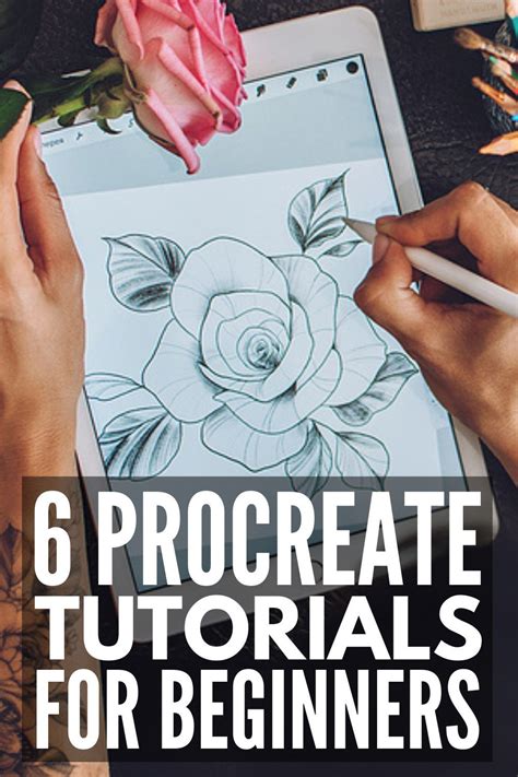Digital Drawing 6 Step By Step Procreate Tutorials For Beginners