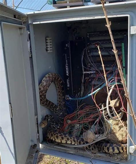 How Do You Uninstall Python From This Environment R ProgrammerHumor