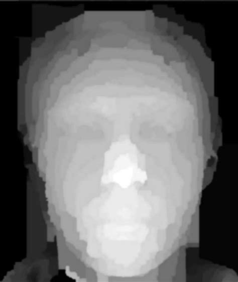 A The Disparity Space Volume B A Disparity Image Height Map Download Scientific Diagram