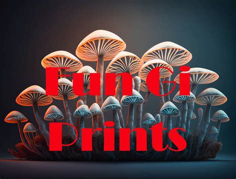 Fun Gi Prints By Fungidev On Deviantart