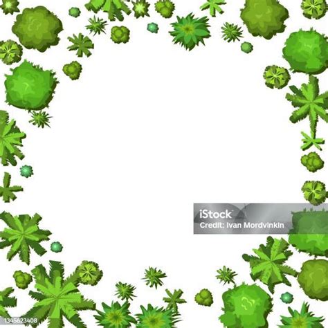 숲속의 글레이드 텍스트가 있는 프레임입니다 나무와 관목 위에서 볼 수 있습니다 식물 풍경 맨 위 보기입니다 높이 만화 스타일의