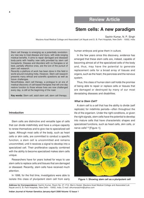 Pdf Stem Cells A New Paradigm