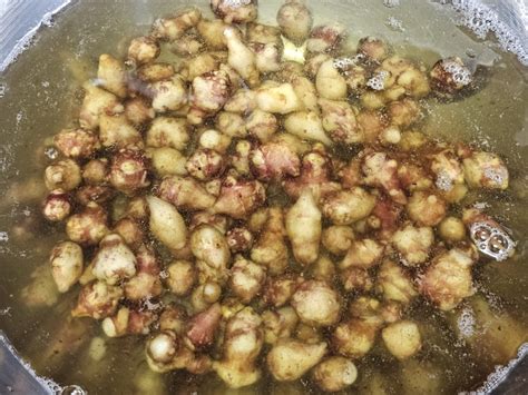 뚱딴지 돼지감자 장아찌 자색 돼지감자 장아찌