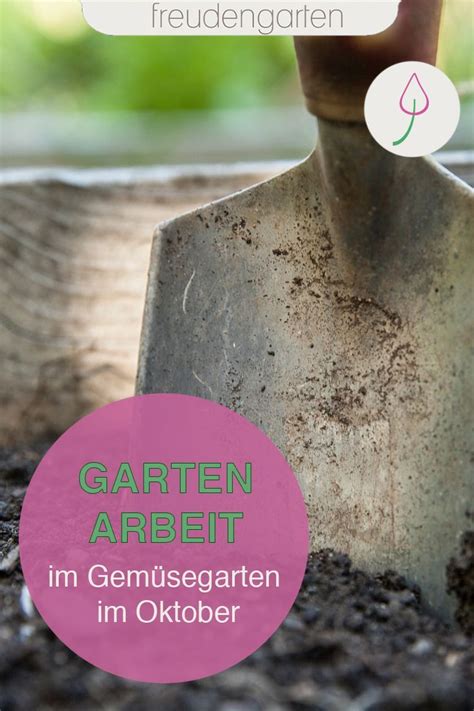 Gartenarbeit Im Gemüsegarten Für Den Oktober Rhabarber Pflanzen Gartenarbeit Gemüsegarten