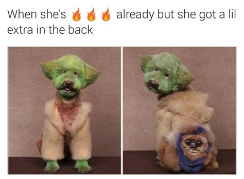 Ooo She Thicc Tho R BlackPeopleTwitter