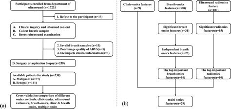 A Multi Omics Method For Breast Cancer Diagnosis Based On Metabolites