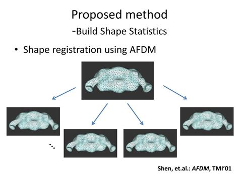 Ppt 3d Segmentation Of Rodent Brain Structures Using Active Volume