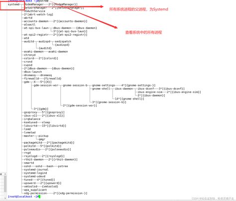 仔细解读linux中的“引导过程与服务内容” systemctl enable now csdn博客