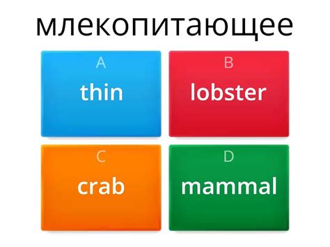 Kid's Box 6 Unit 5 - Quiz