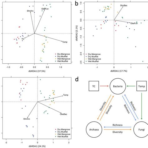 Distance Based Redundancy Analysis Db Rda Biplots Of A Bacterial