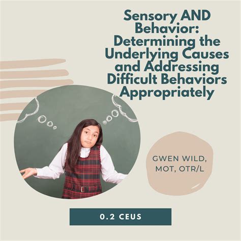 sensory and behavior determining the underlying causes and addressing