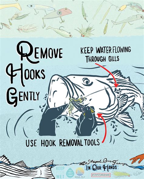 Keep Fish Wet Tips For Reducing Release Mortality The Fisherman