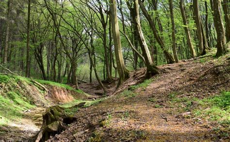 Fruska Gora National Park