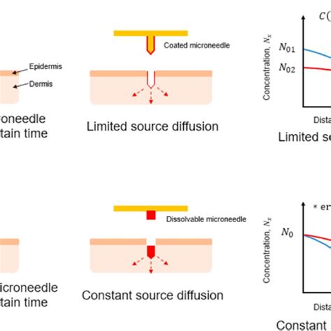 Dynamics Of Drug Diffusion From Microneedles To Skin Based On Different Download Scientific