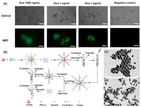 Biosensors Special Issue Plasmonic Sensors A New Frontier In Nanotechnology