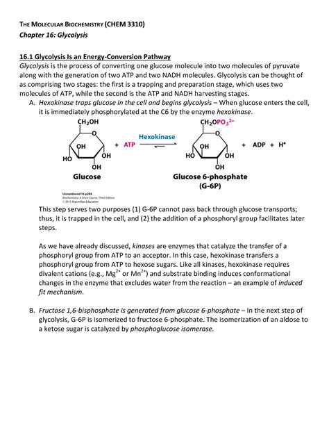 Biochem Ch 16 Chapter 16 Notes THE MOLECULAR BIOCHEMISTRY CHEM 3310 Chapter 16