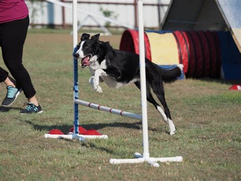 Continuing Or Advanced Classes