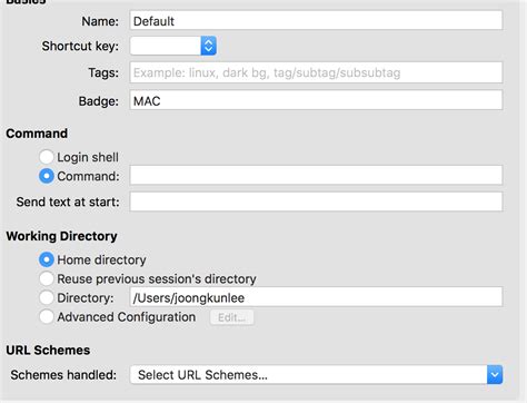 Iterm How To Put Enter Or Return When Sending Text In Iterm2