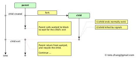 Zombie Process In Linux Back To The Basics