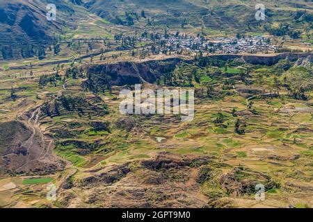 Agricultural Terraces In The Colca Canyon Valley Viewed From The