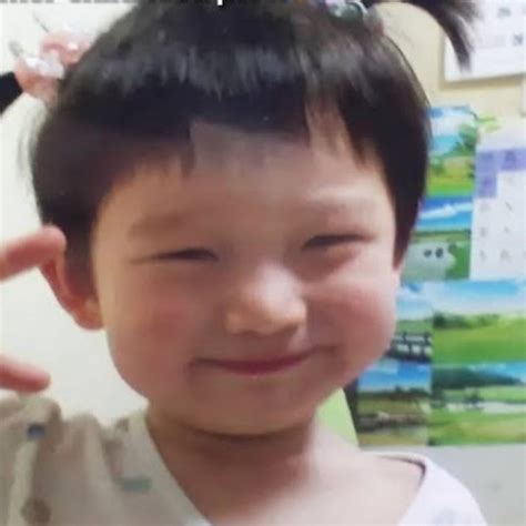 귀여운 고양이 Youtube