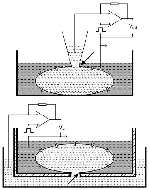 Patch Clamp Arrangements Upper Panel Classical Whole Cell