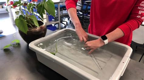 Transpiration Mystery Why The 1st Measure Is Always Trash Learnfastblog