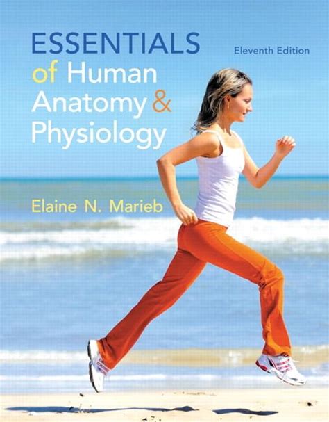 Essentials Of Human Anatomy And Physiology 11th Edition