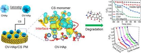 通过氧空位引入和壳聚糖异质结形成将羟基磷灰石从绝缘体转变为可见光诱导光催化膜 Carbohydrate Polymers X Mol