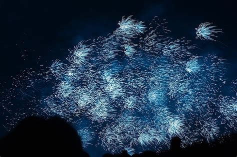 심리학 마음의 과학