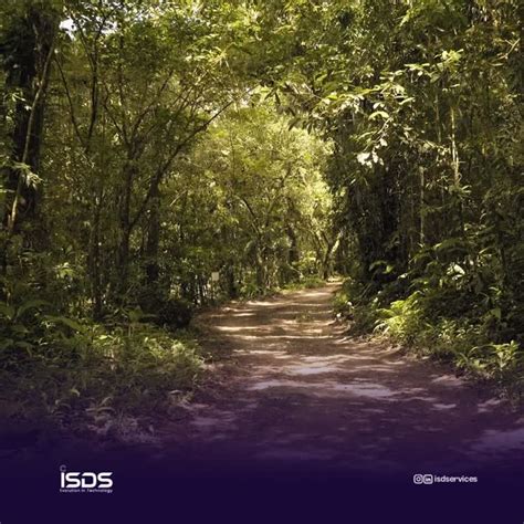 Integrated Software Data Services On Linkedin Startuptech