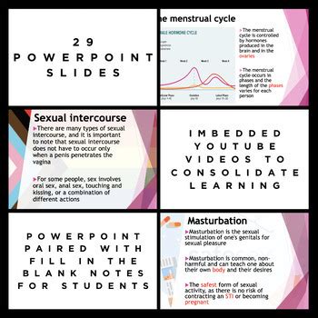 Human Development Sexual Health Menstrual Cycle PowerPoint English