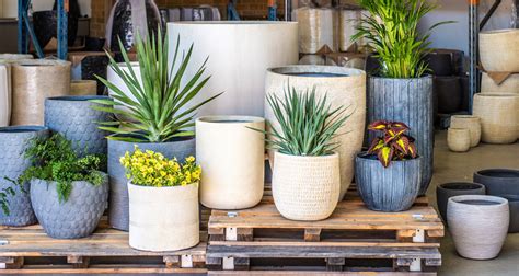 Big Cheap Plant Pots