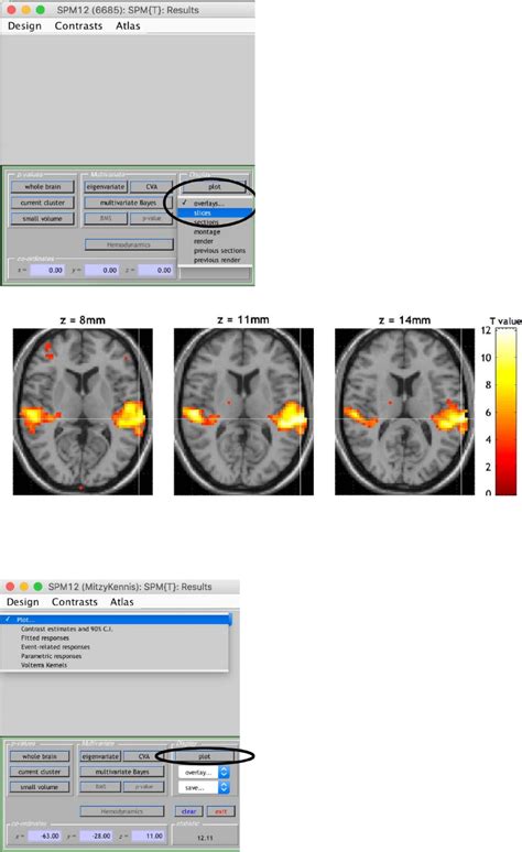 SPM 初学者指南 Starter s Guide